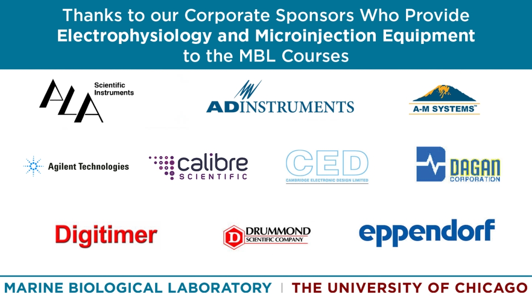 Scientific Vendor Partnerships | Marine Biological Laboratory